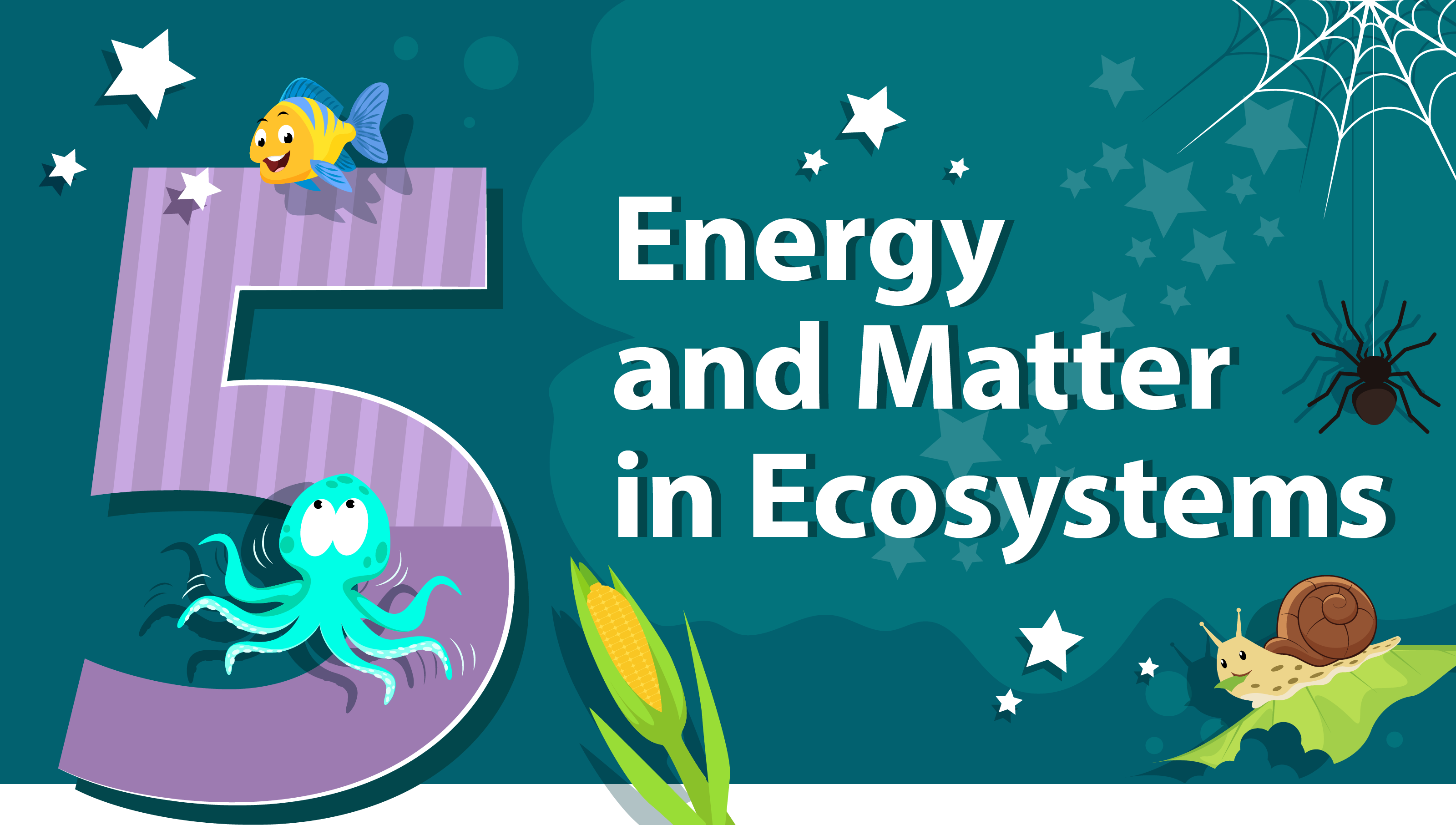 [Energy and Matter in Ecosystems][Engagement 1][Lesson 7][Small Teams ...