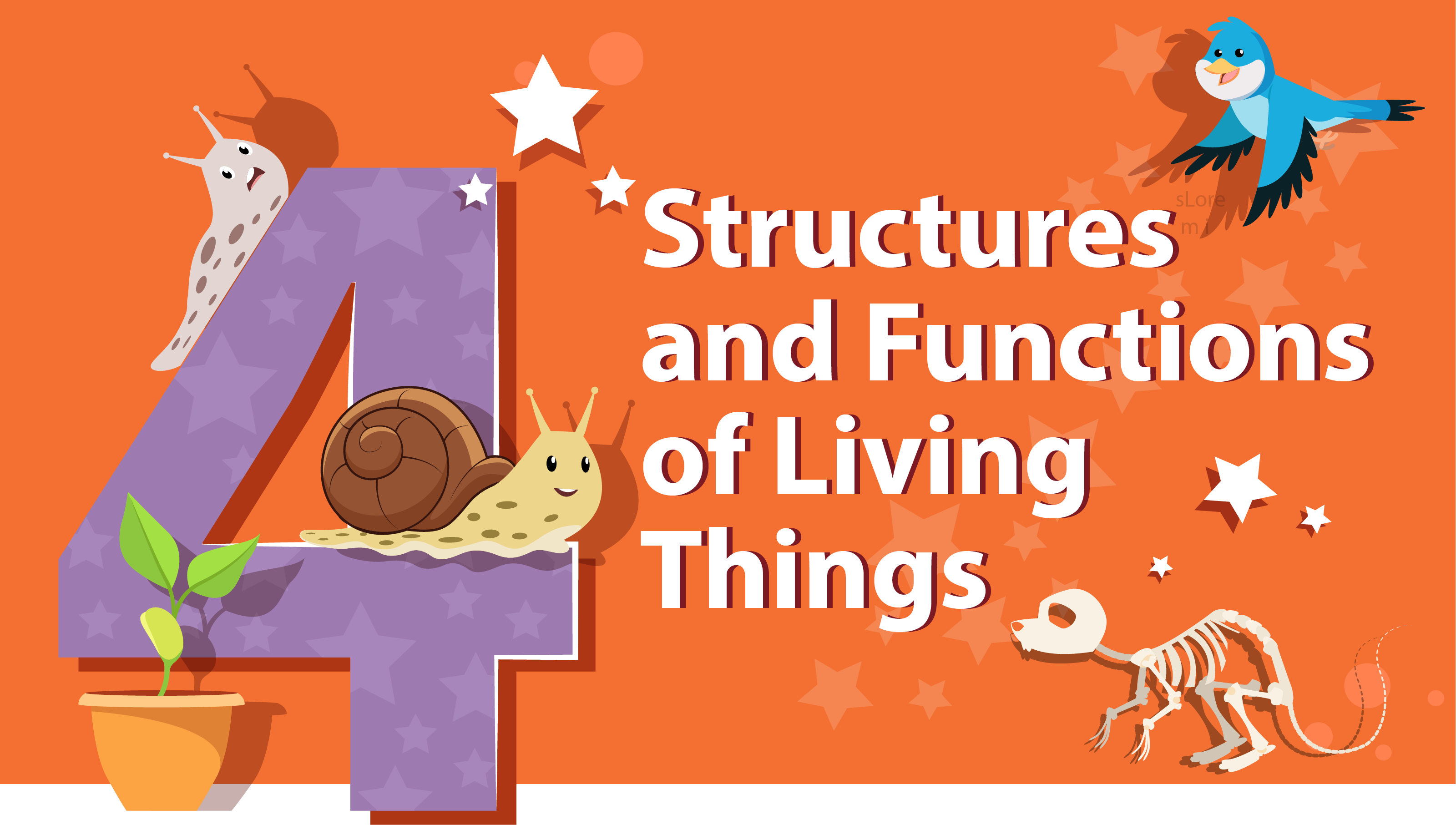 [Structures and Functions of Living Things][Engagement 1][Lesson 7 ...