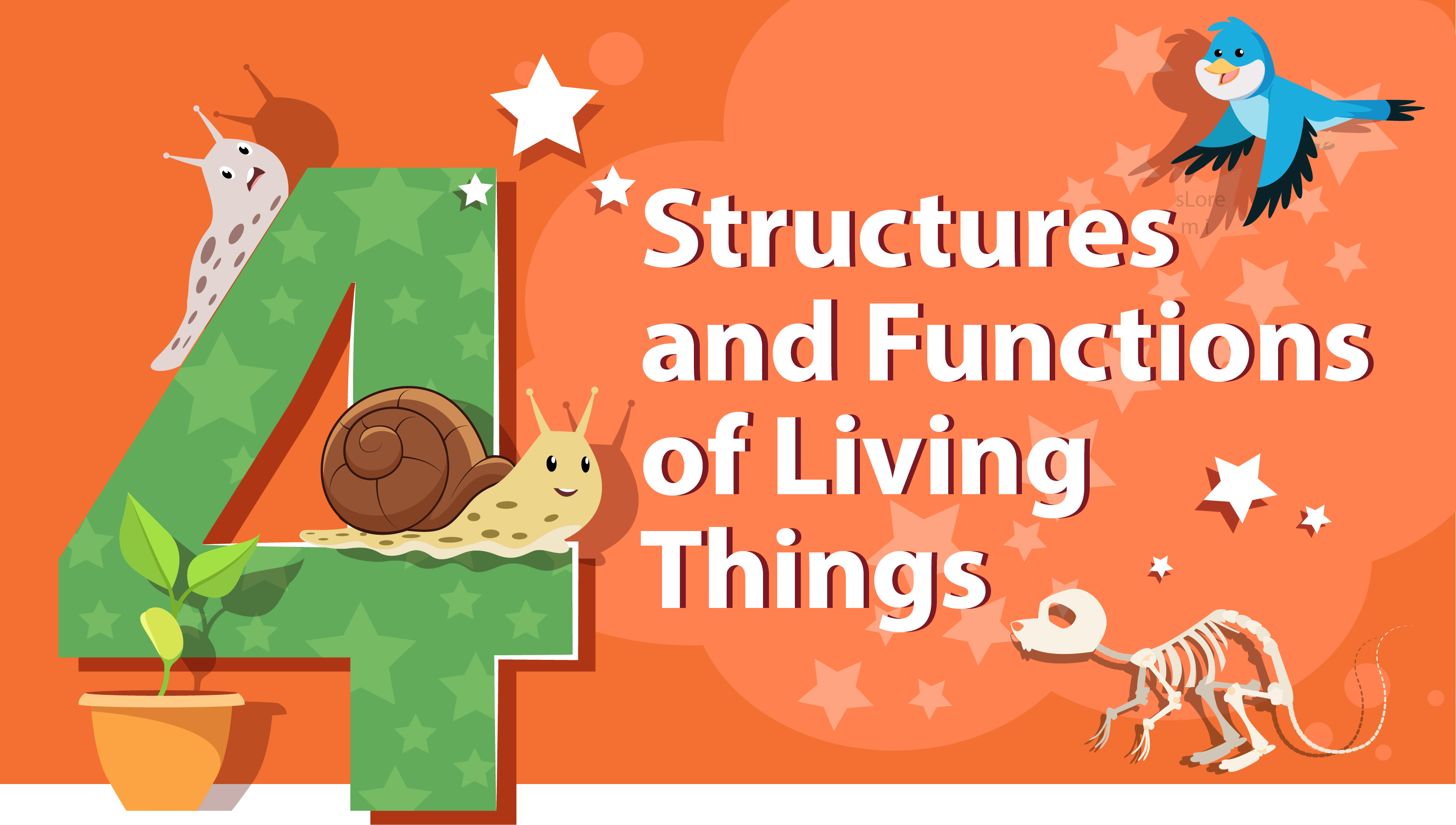 [Structures and Functions of Living Things][Engagement 2][Lesson 14][Dig! Excavation Quest ...